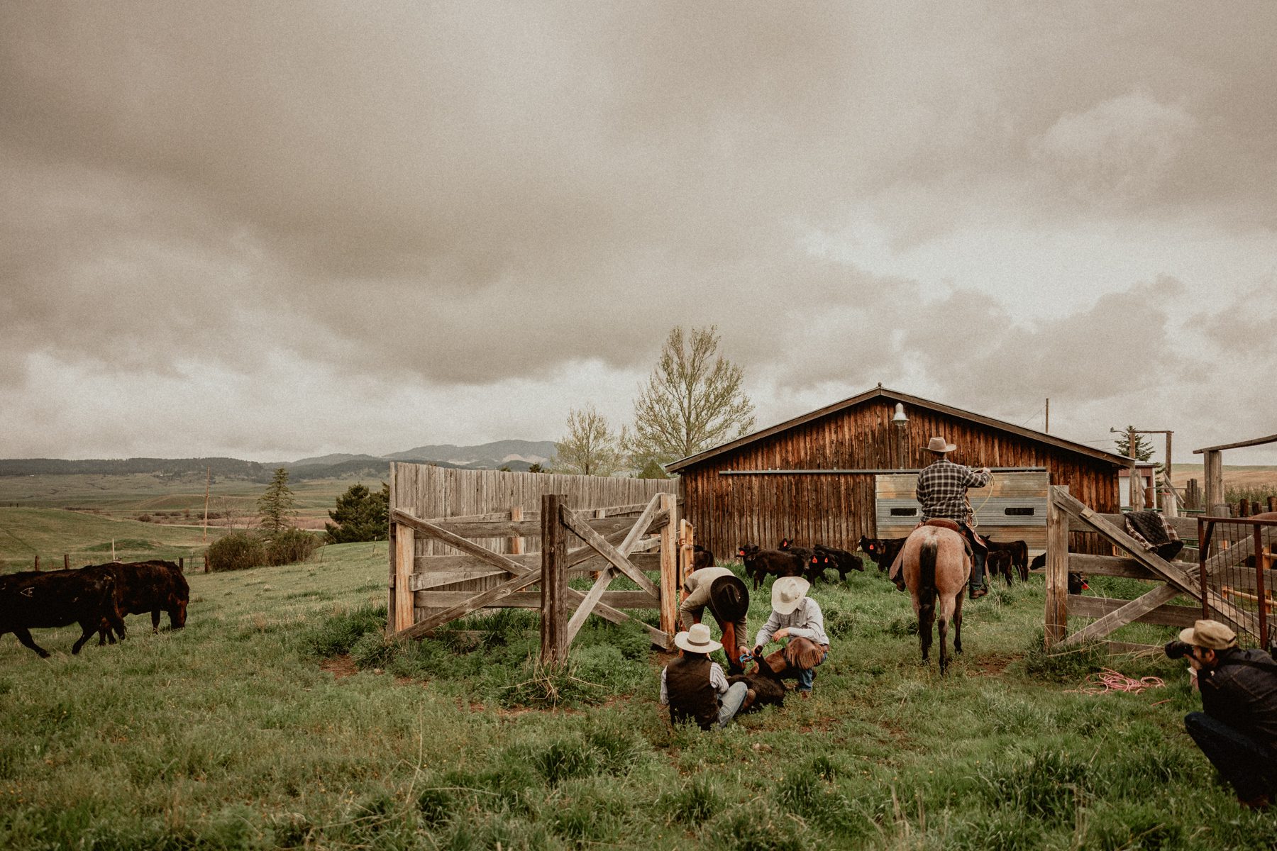 How to Find Your True Niche as a Rural Photographer